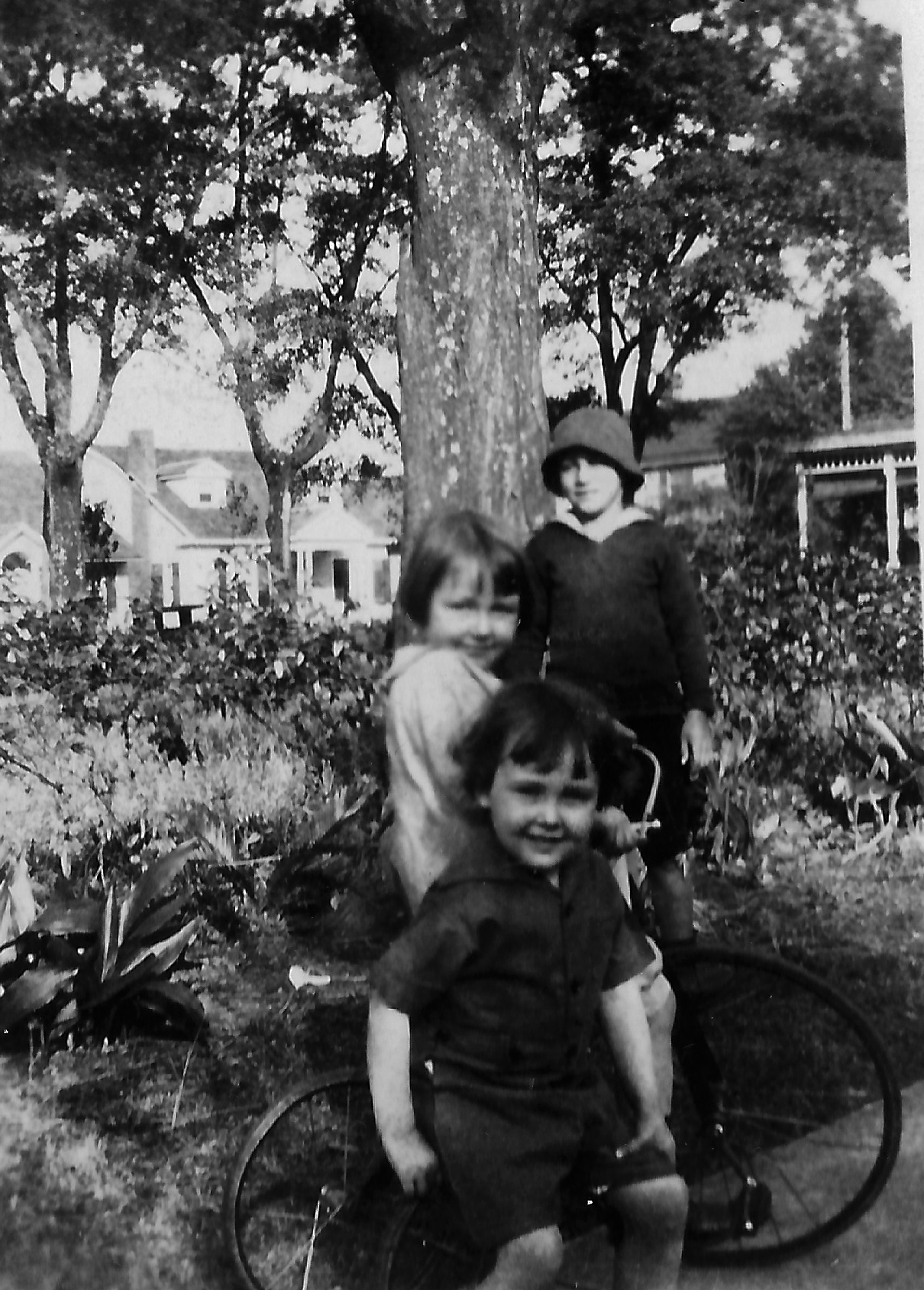 Peyton Townes and Muriel Pearce Family History - Wiliam Townes Family